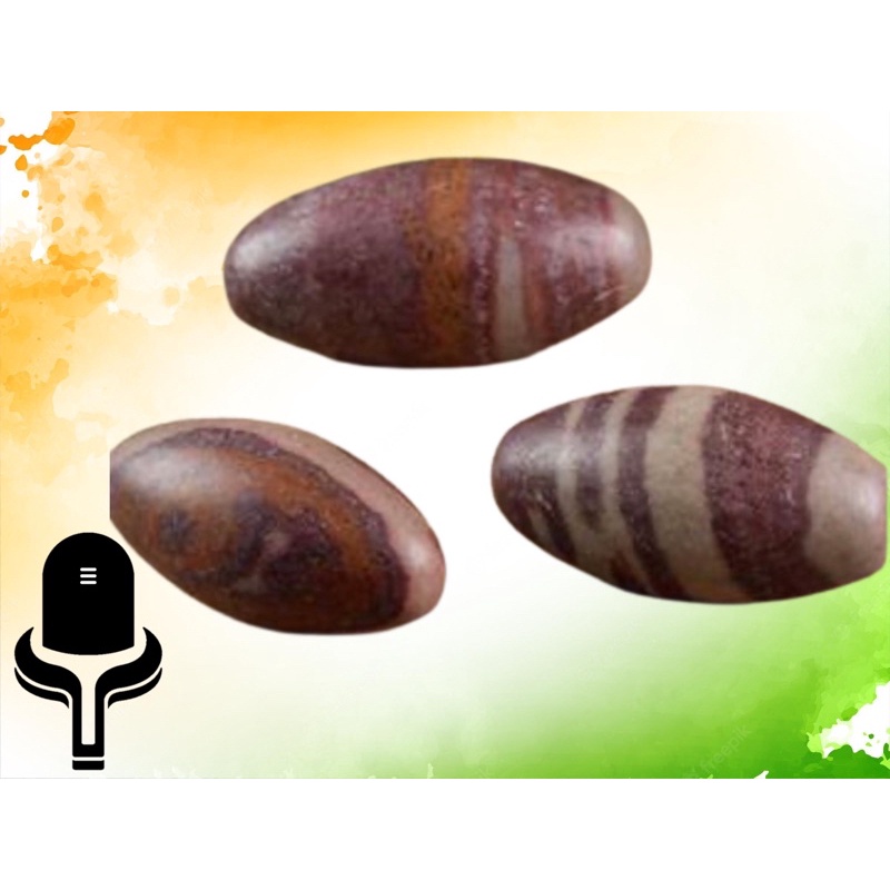 Shashvata Authentic SHIVA LINGAM Stone -Narmada Shivlingam/Banalingam ...