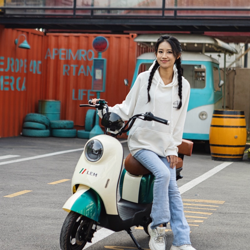 ★LEM★NEW ELECTRIC BIKE/ELECTRIC BICYCLE MODEL LEM VE | Shopee Malaysia