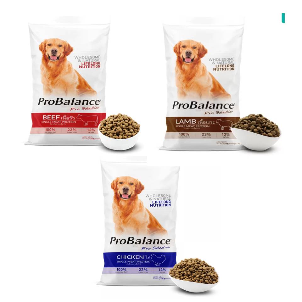 ProBalance Adult Dry Dog Food 500g | Shopee Malaysia