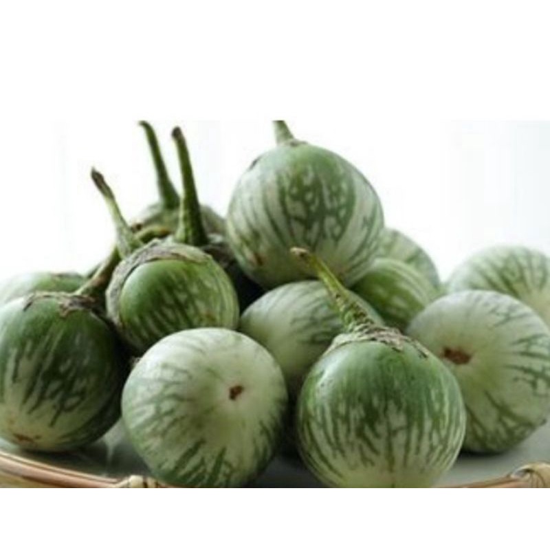 terung ulam/terung hijau segar 300g | Shopee Malaysia