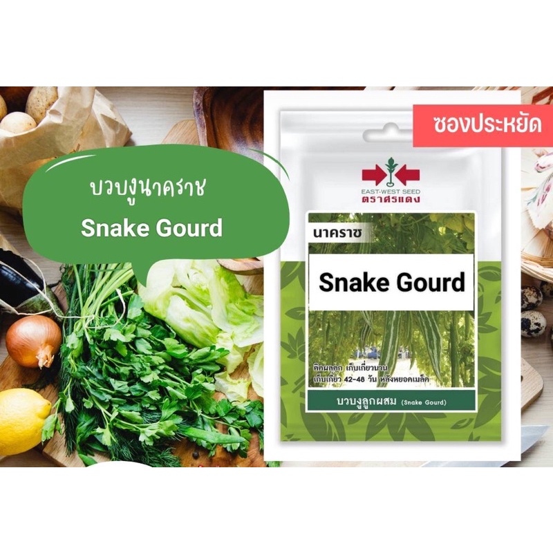 🌱Ready Stock 🌱Snake Gourd Seeds / Benih Labu Ular / เมล็ดบวบงู East ...