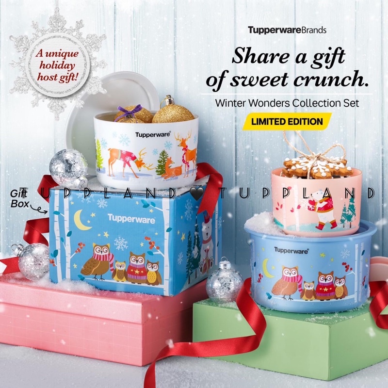 Tupperware Winter Wonders Collection Set with Gift Box ( OT 600ml ...