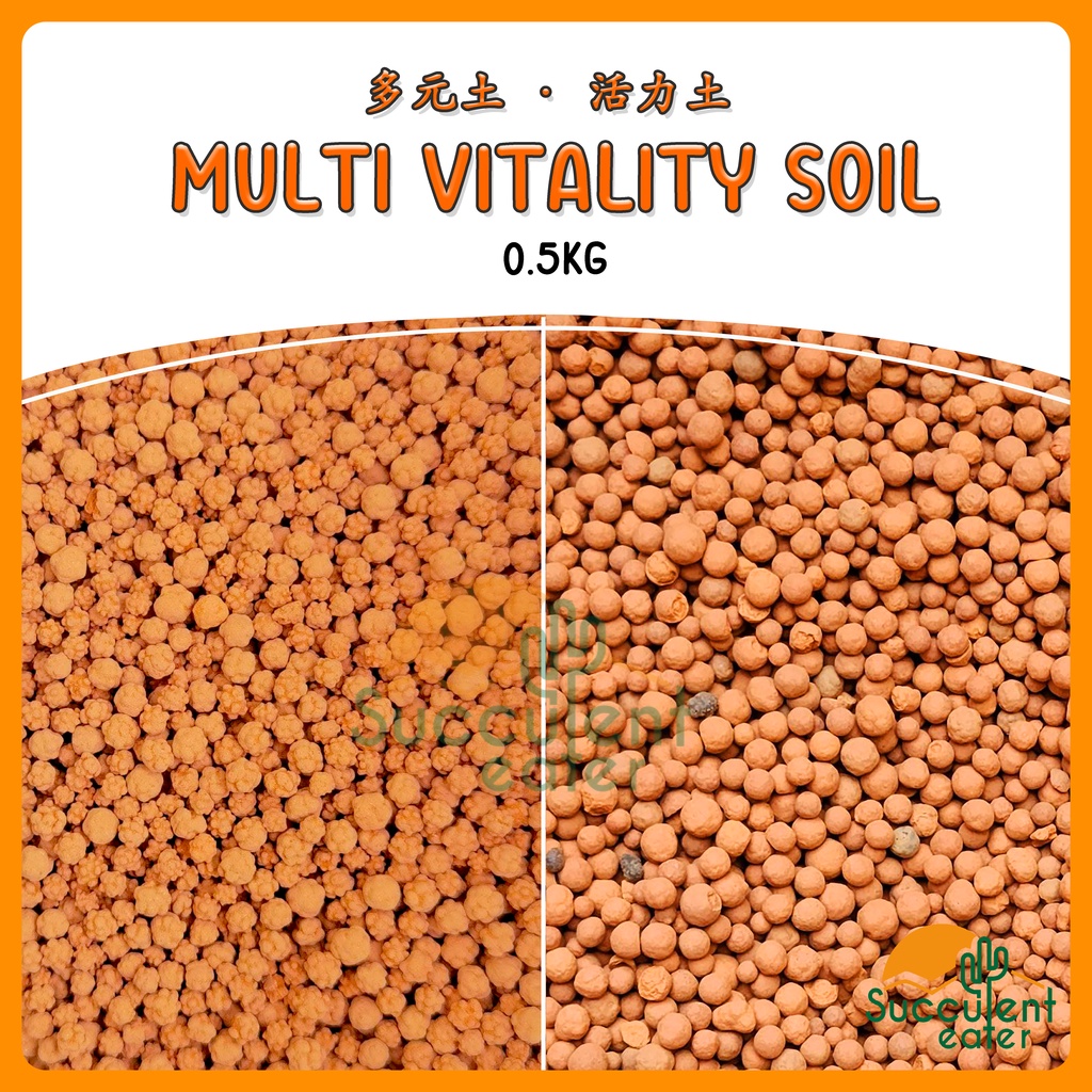 0.5KG Multi Vitality Soil for Cactus Succulent 活力土 多元土 多肉仙人掌 | Shopee ...