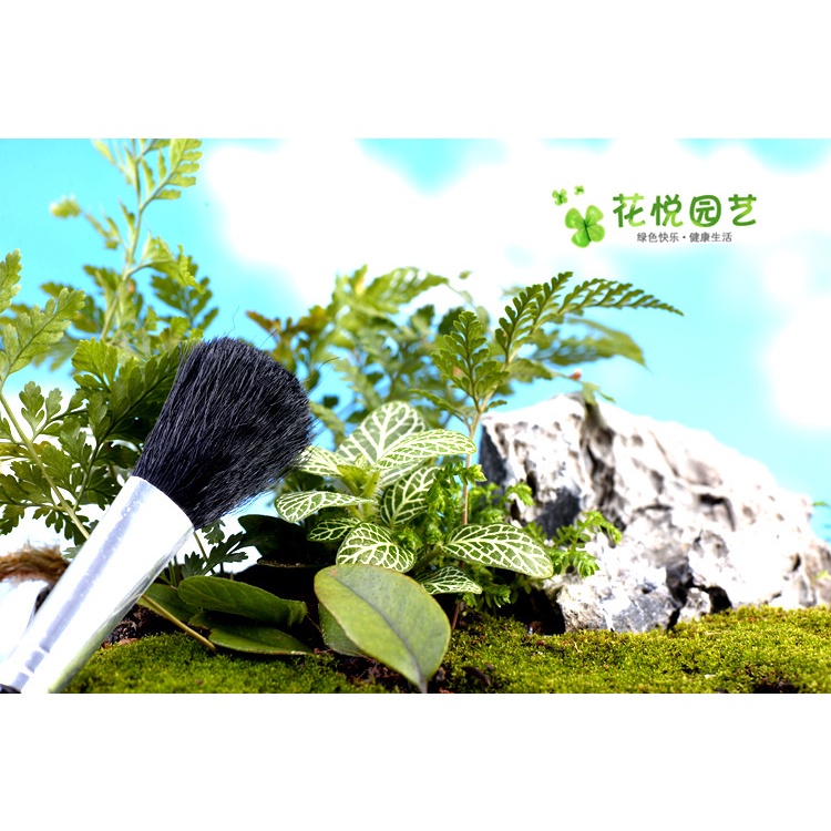 Mini for Succulent Terrarium Bonsai brush Cake Mini Cute Decor PLANTING ...