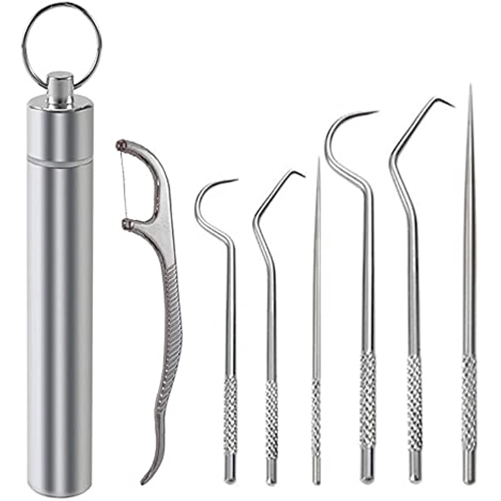 Dental Teeth Pick Stainless Steel Toothpick Set Reusable Tooth Stains ...