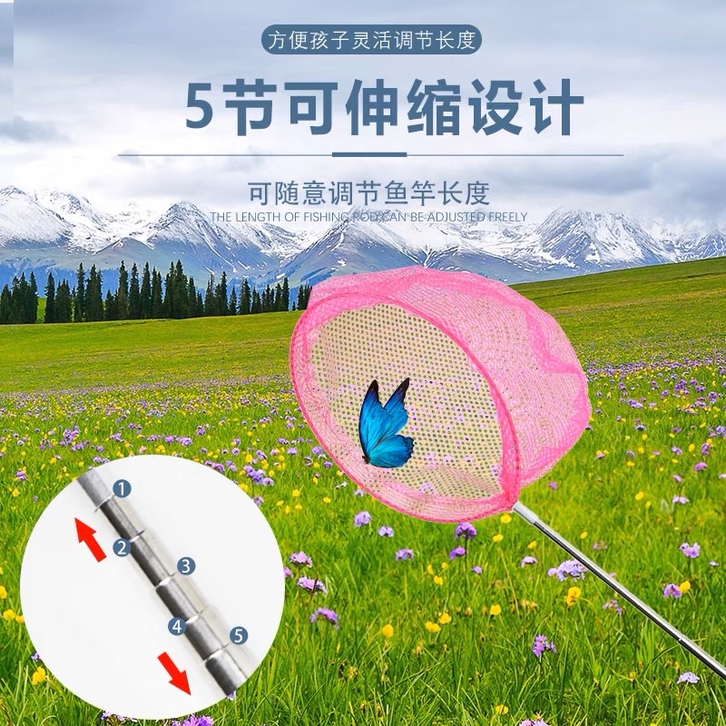 Net Catching Small Fish or Butterfly Extendable Handle / Fish Net ...