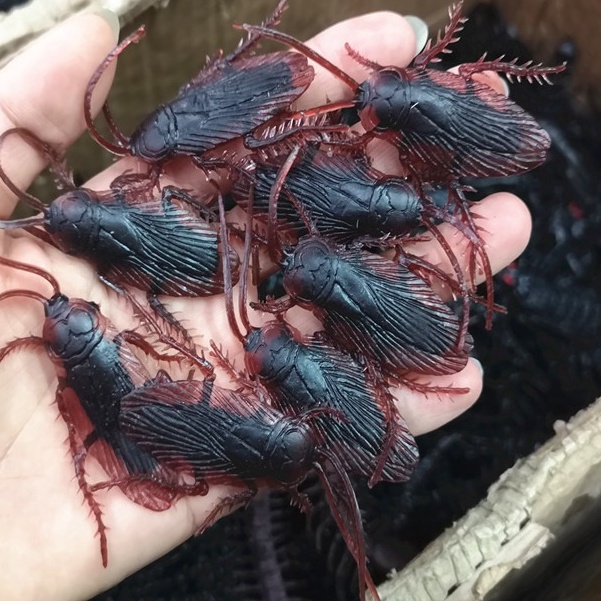 Realistic Fake Insects, Realistic Fake Cockroach Toys | Shopee Malaysia