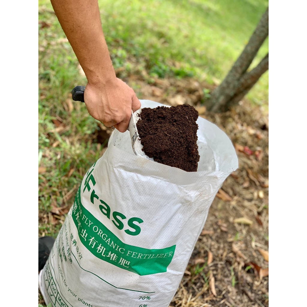 Premium Black Soldier Fly Organic Fertilizer 50L Pure BSF Frass ...