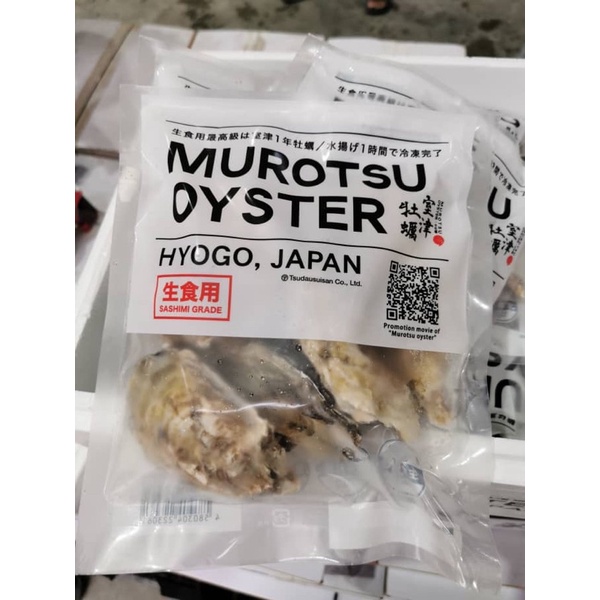 Sashimi Oyster (Japan) 6pcs Sung Tao Frozen Seafood 日本生蚝 Japan Sashimi ...