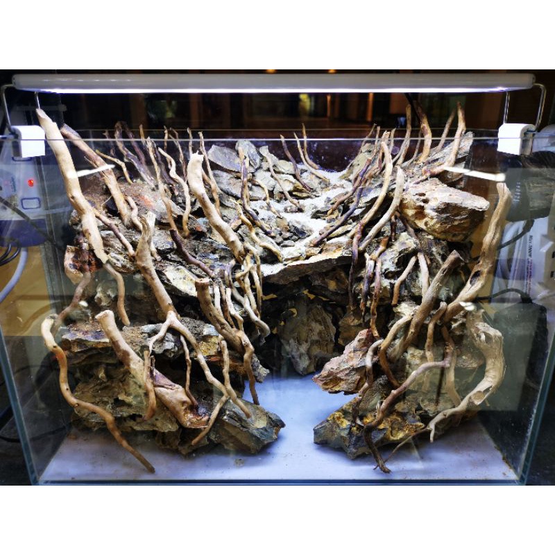 azalea root, aquascape wood, bonsai root | Shopee Malaysia