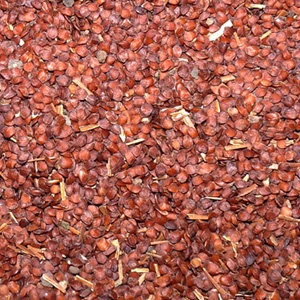 neermuli seed marsh barbel seed/powder (Hygrophila auriculata) biji ...