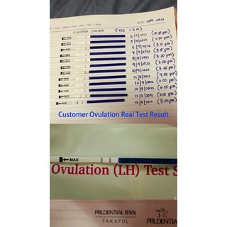 50pcs Ovulation Test Strip OPK LH Ovulasi & UPT Test Pregnancy 10miu ...