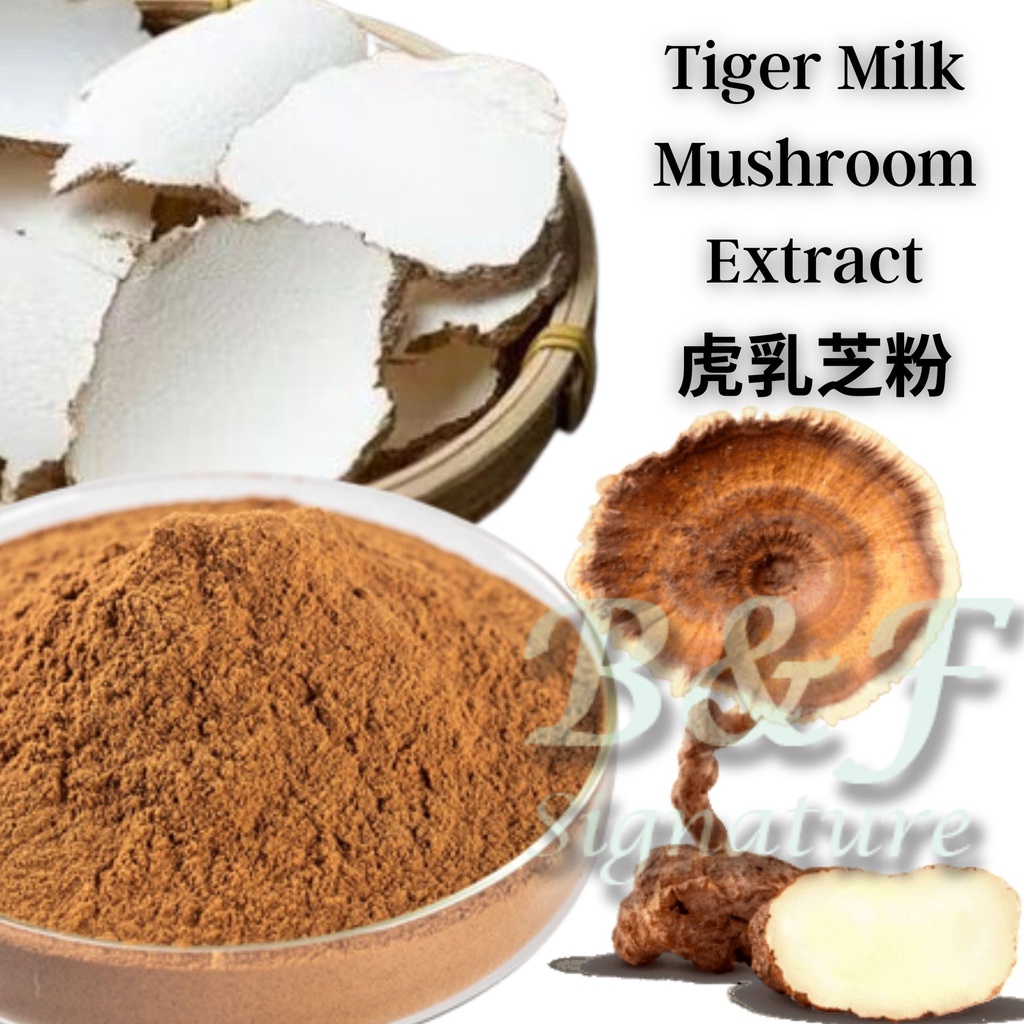Tiger Milk Mushroom Powder Extract 10g - 100g 虎乳芝粉末 / Cendawan Susu ...