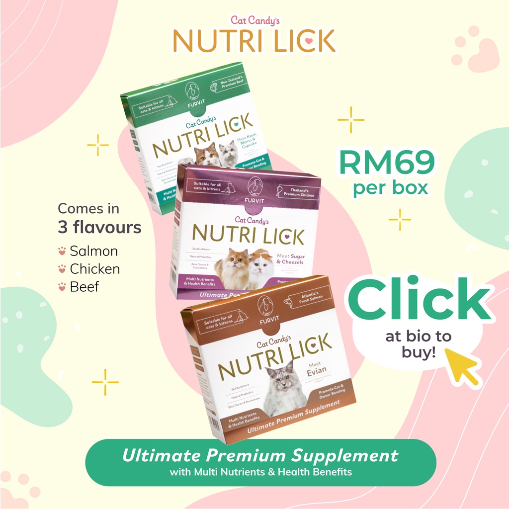 Nutrilick - Salmon, Beef Flavor (1 Box- 40 Sachet) | Shopee Malaysia