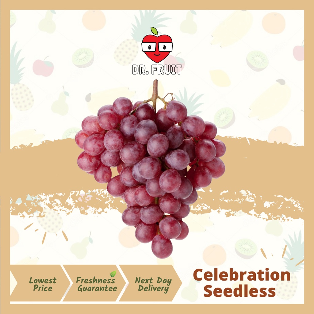 USA Celebration Seedless Grapes 美国红提甜庆无籽葡萄- 800g/box | Dr.fruit/ Anggur ...