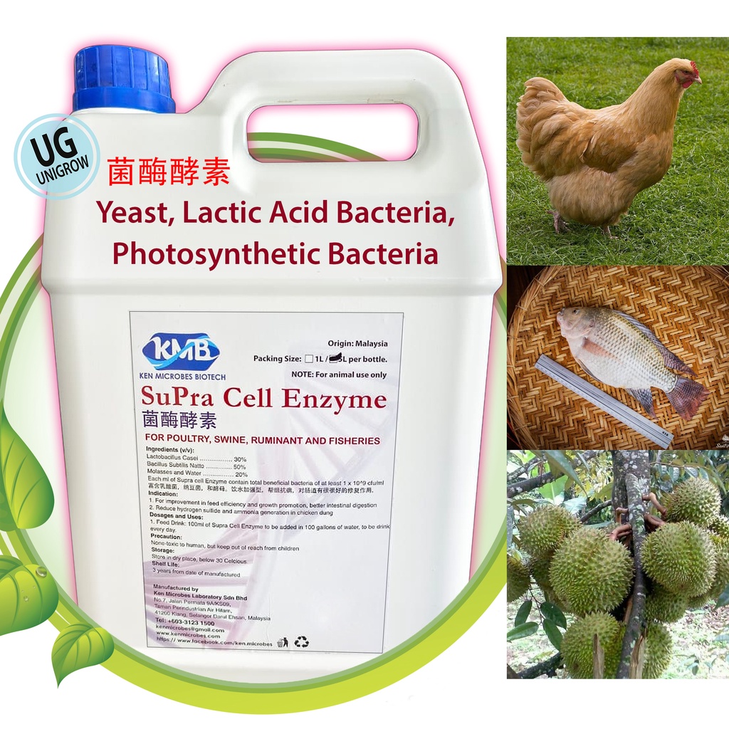 (5 Liter) Supra Cell Enzyme Mengurangkan Ammonia Air, Probiotik Haiwan ...