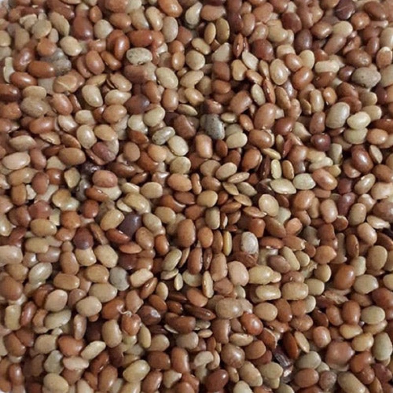 Kollu Raw horse gram dal seed / powder (Macrotyloma uniflorum) kulthi ...