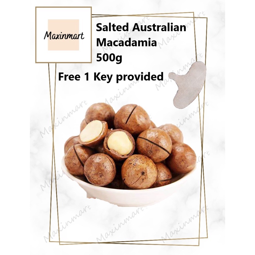 Australian Roasted Macadamia Nuts 500g In Shell Ready to Eat (Salted ...
