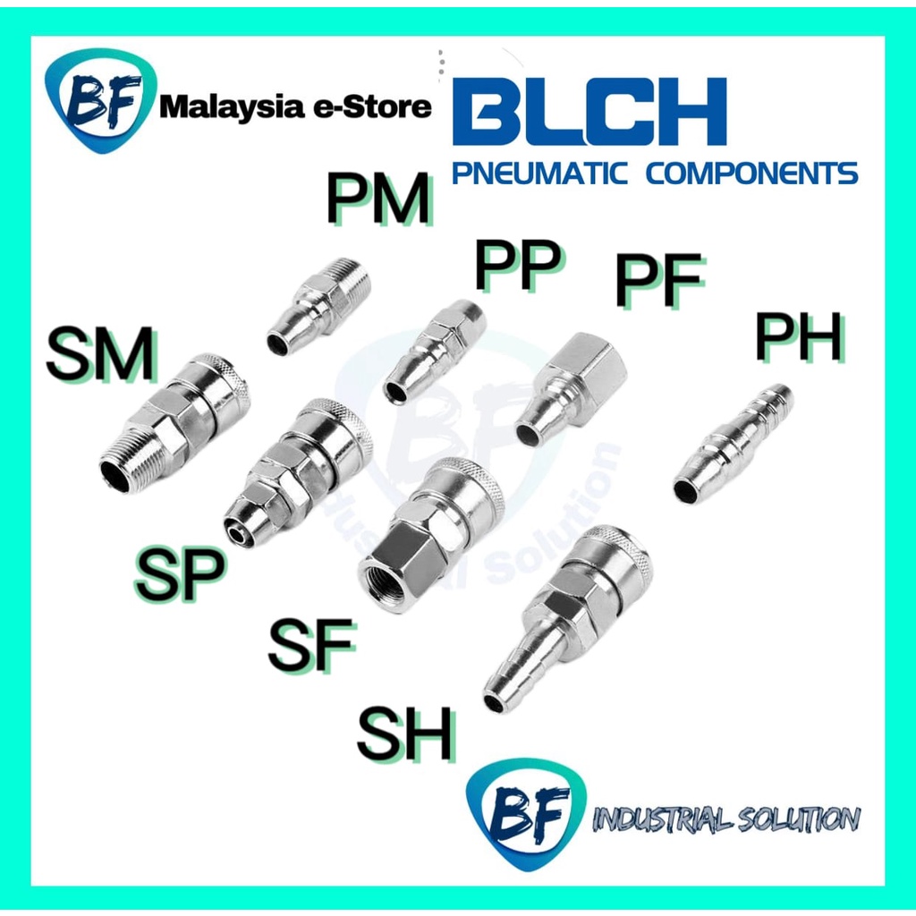 [BLCH] Pneumatic Air Coupler for Air Compressor 20, 30, 40 series Socket and Plug, Quick ...