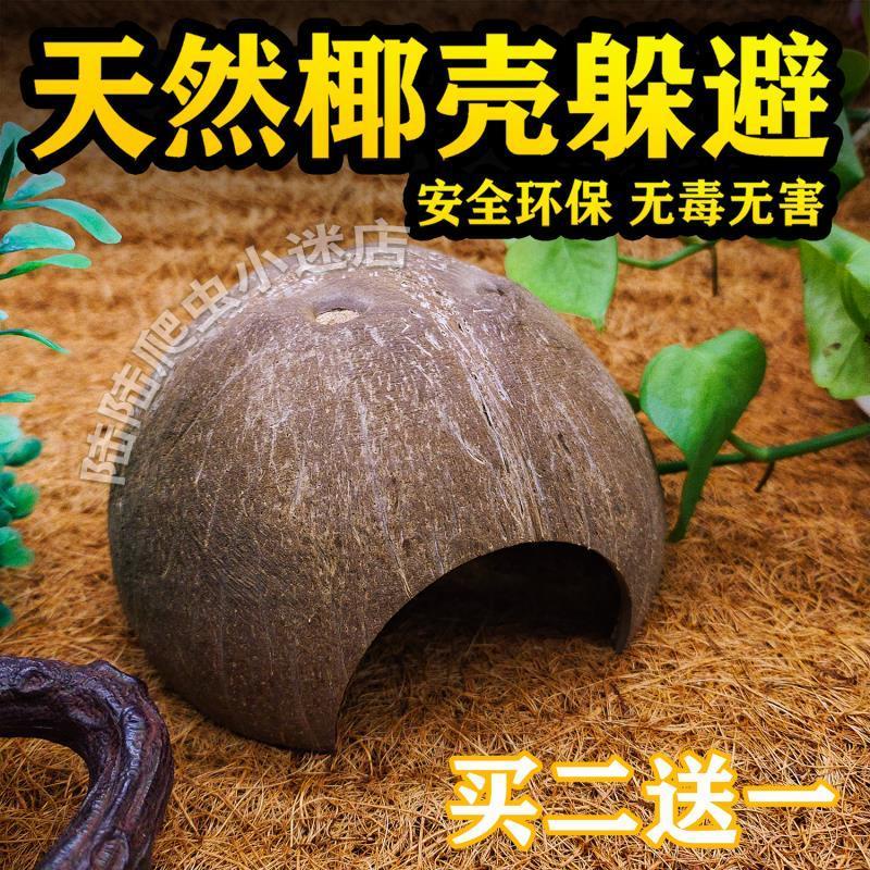 Natural Coconut Shell Hide Gecko Lizard Spider Snake Scorpion Hamster ...