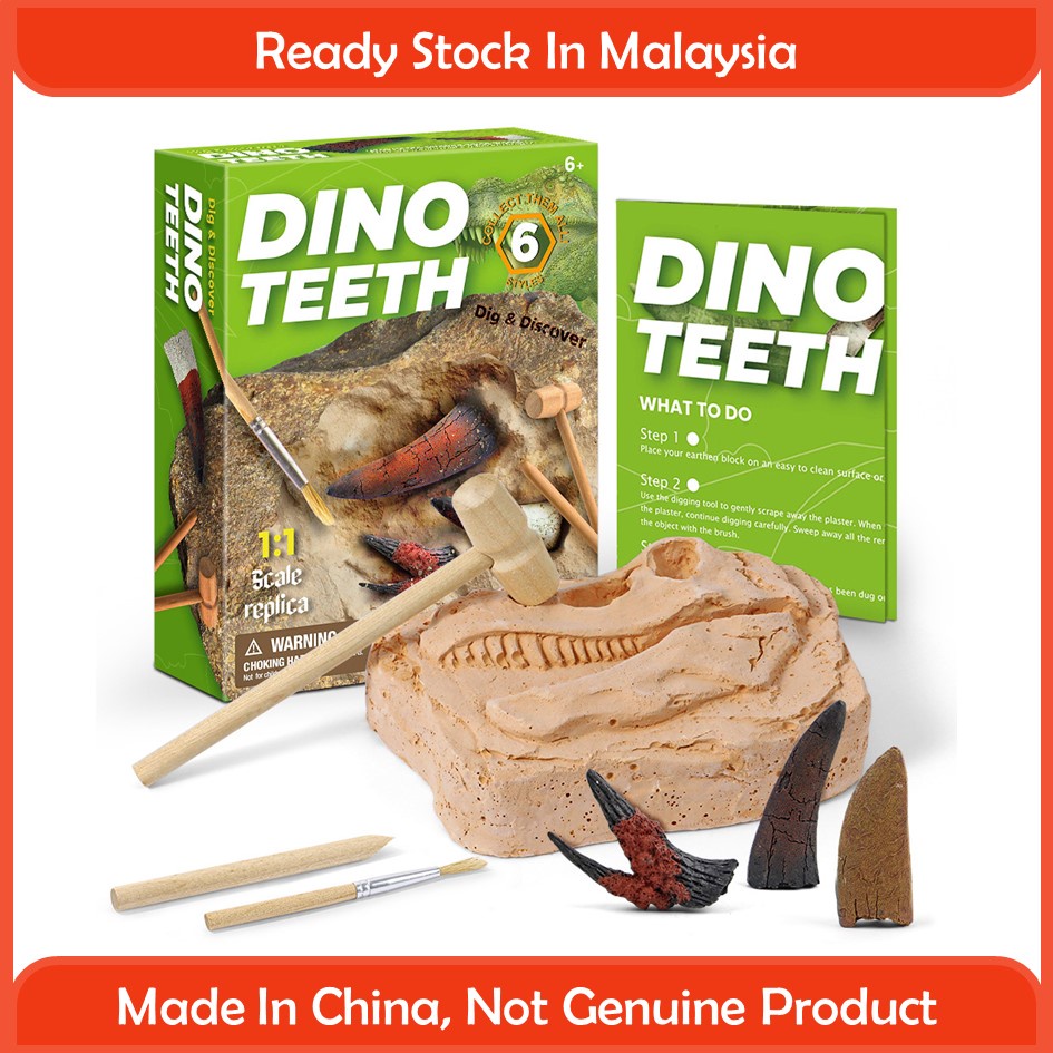 DIY Archaeological Excavation Exploration Jurassic Dinosaur Teeth ...