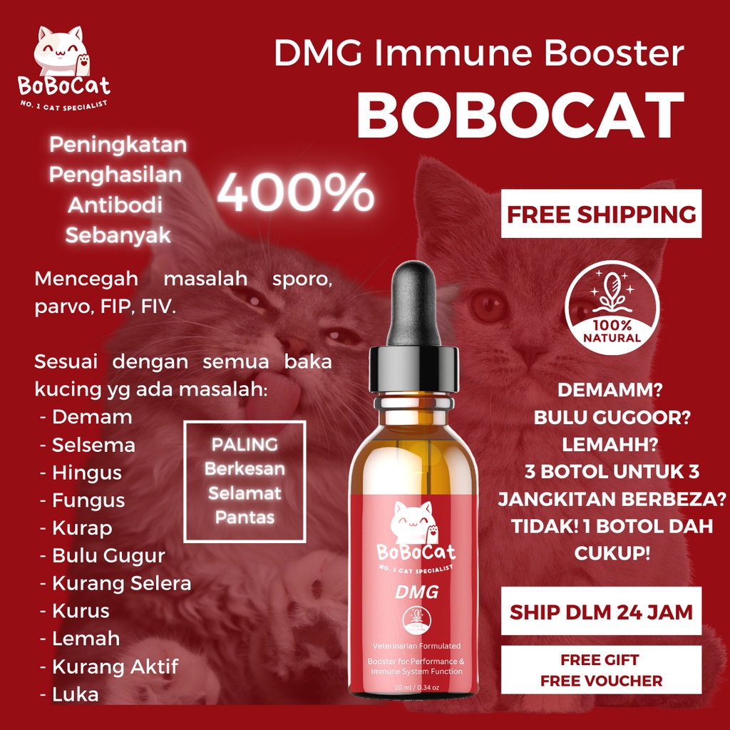 BoBoCat DMG Immune Booster Supplement Cat Vitamin Kucing Ubat Selsema ...