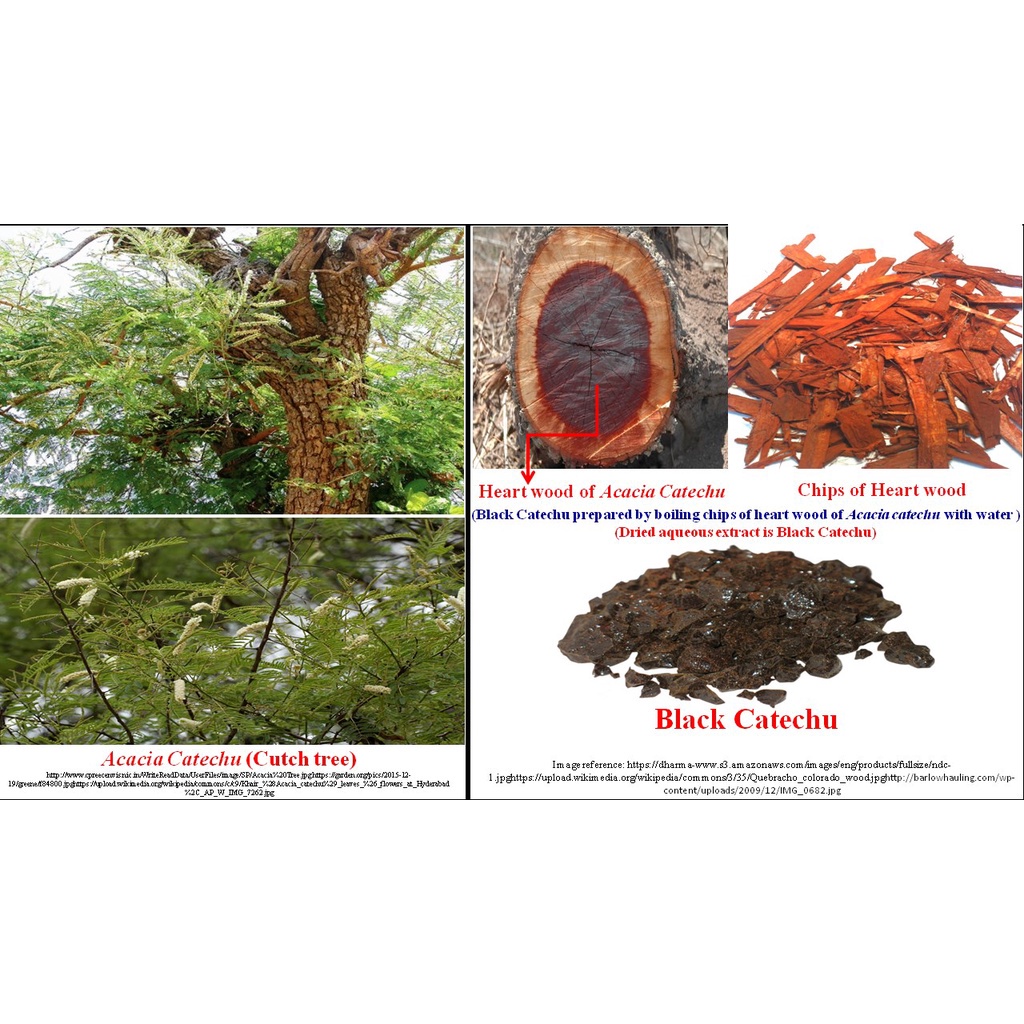 BLACK CATECHU heartwood/resin kair babool(Acacia catechu) kaasi kathi ...