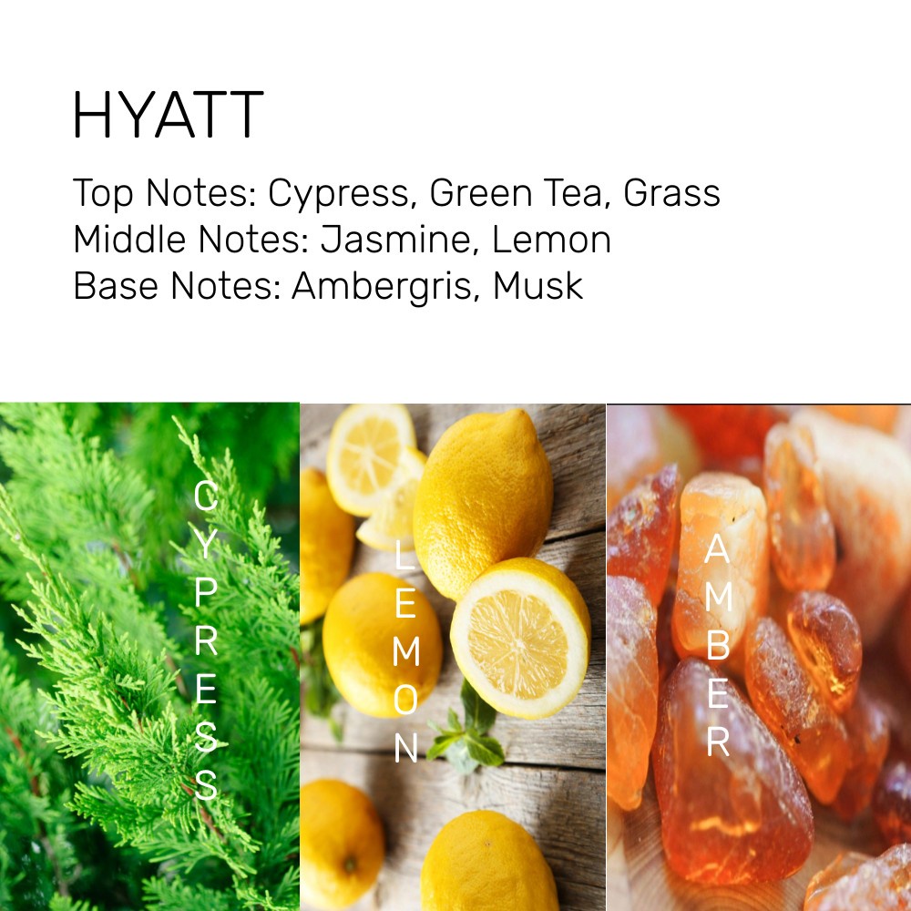 HYATT - 10ml Fragrance Oil/Diffusers, Humidifier/Oil Burner/HYATT ...