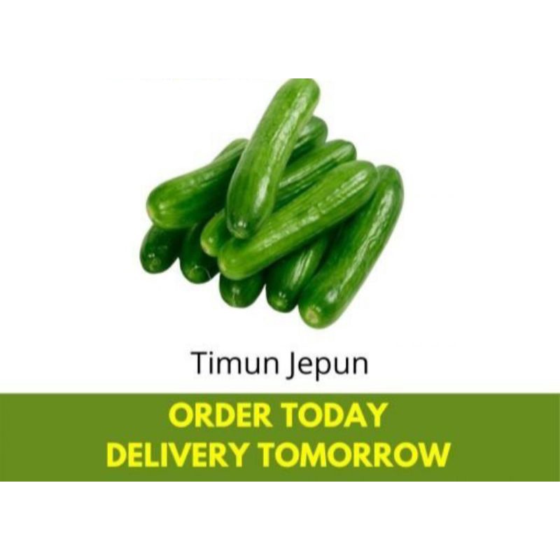 Timun Jepun 500g (Japanese cucumber) | Shopee Malaysia