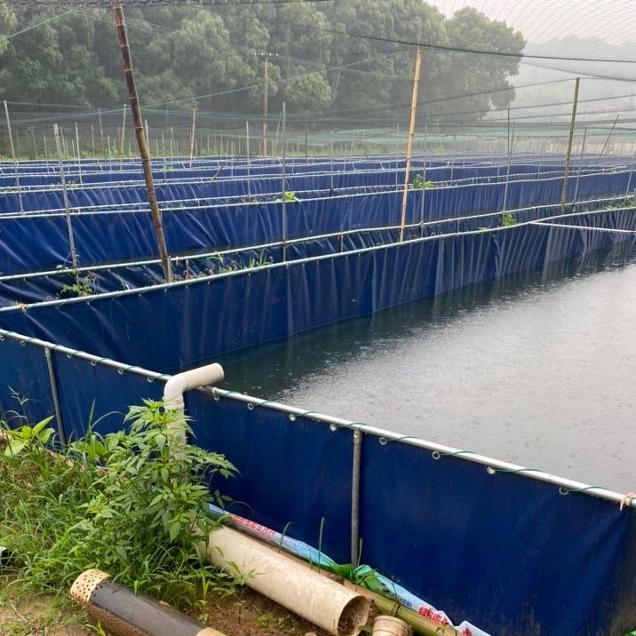 Canvas Fish Pond Breeding Pool Lobster Aquatic Cloth Thickened ...