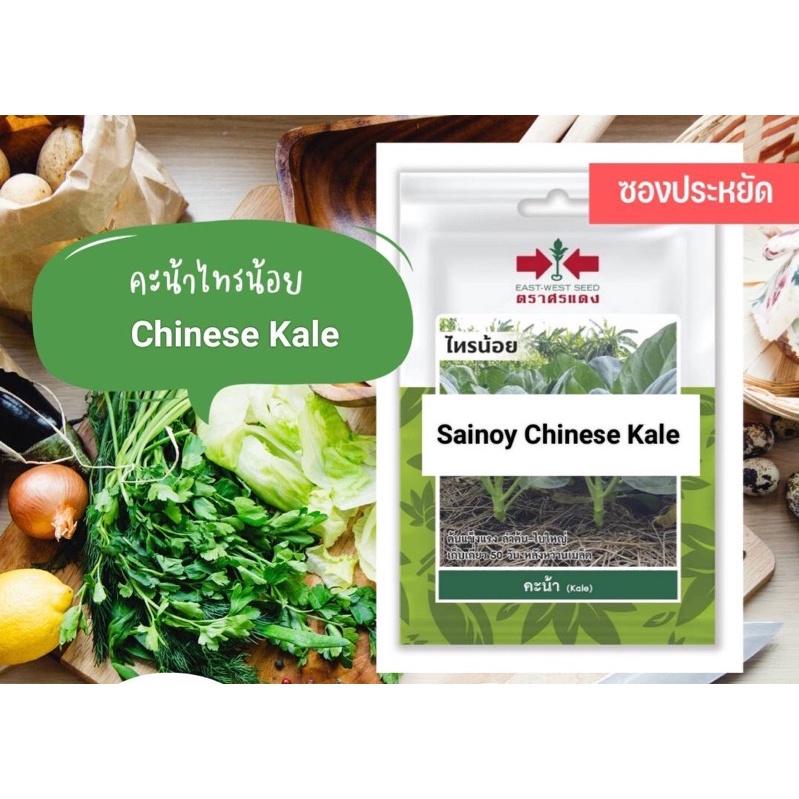 🌱Ready Stock 🌱Chinese Kale Seeds / Benih Kailan / เมล็ดคะน้า ไทรน้อย ...