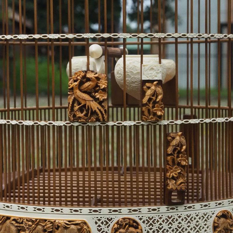 Variations/anis Cage Stoper/Murai Batu | Shopee Malaysia