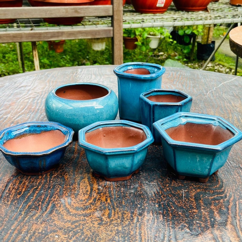 Succulent pot mini bonsai pot Flower Pot Rectangular Growing Vegetables ...