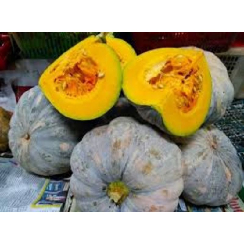 labu oren@kuning segar sebiji | Shopee Malaysia