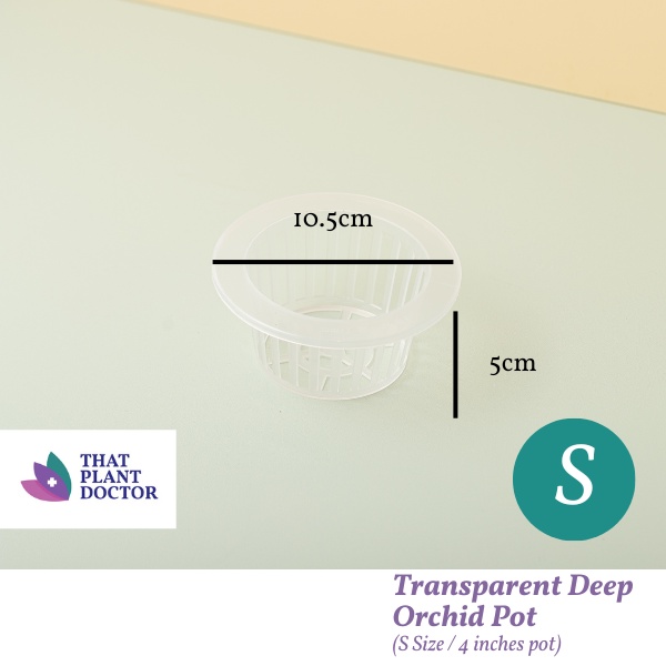 Transparent Deep Orchid Pot (S Size / 4 inches pot) | Shopee Malaysia