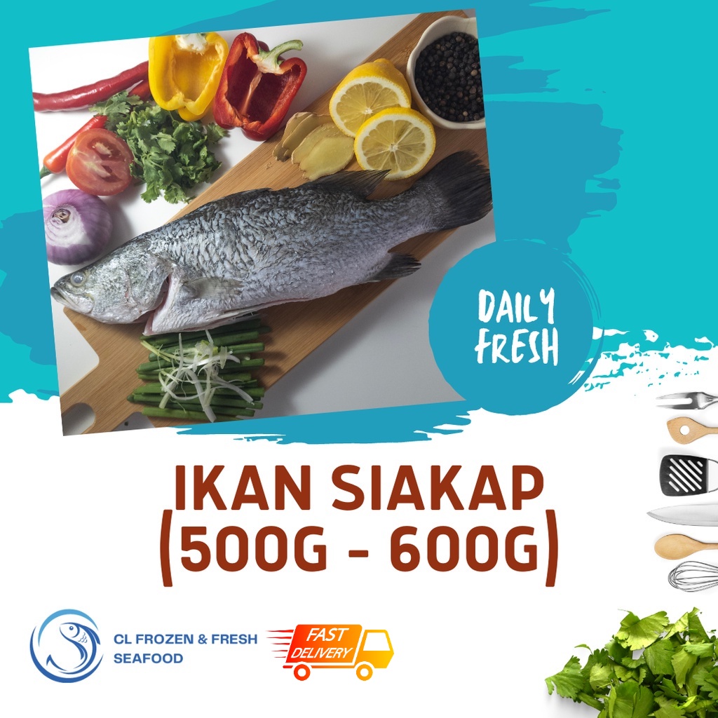 Pantai Remis Fresh Seabass / Barramundi / Ikan Siakap (500g - 600g / 1 ...