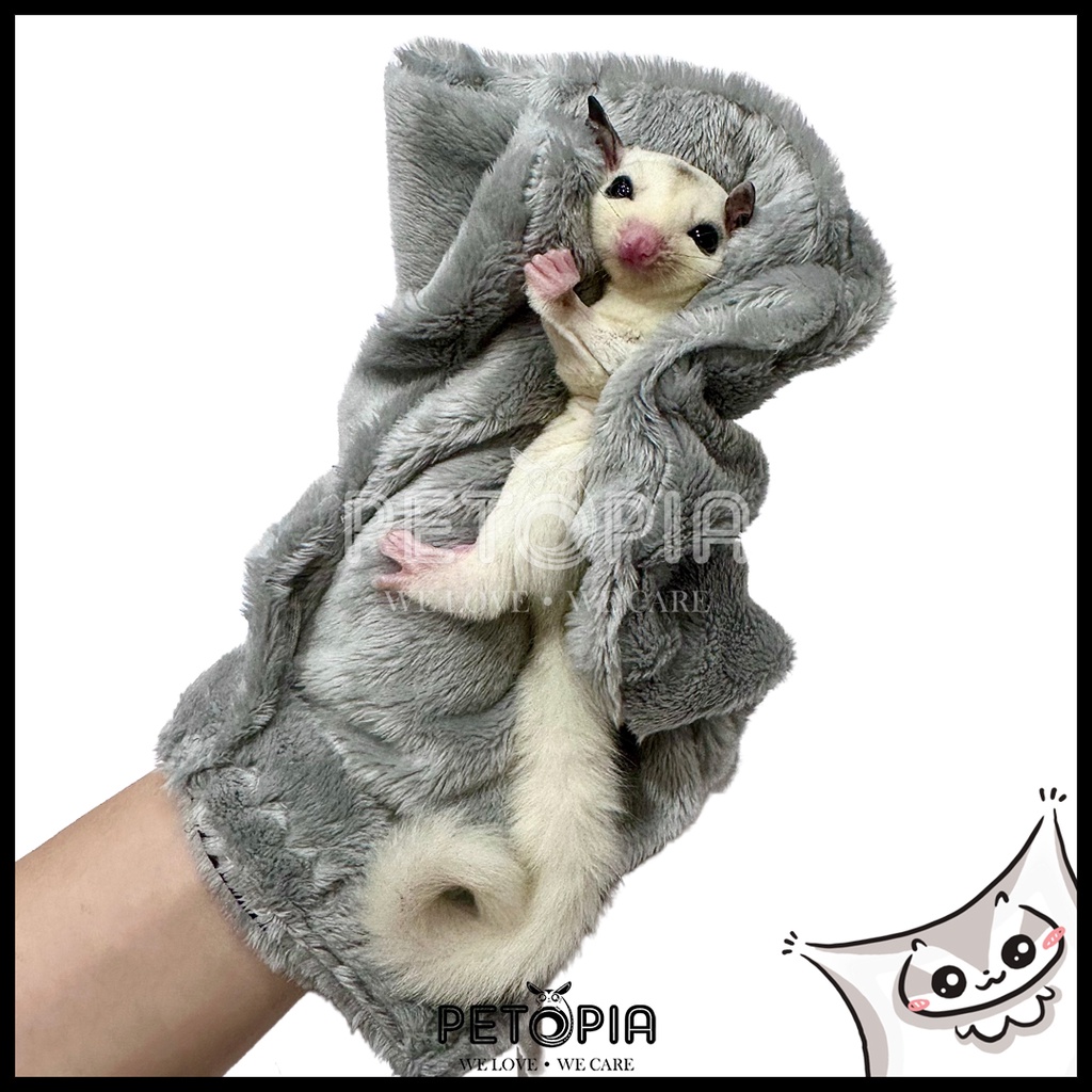 Sugar Glider Calming Glove Anti-Scratch | PETOPIA Sugar Glider Bonding Glove | Shopee Malaysia