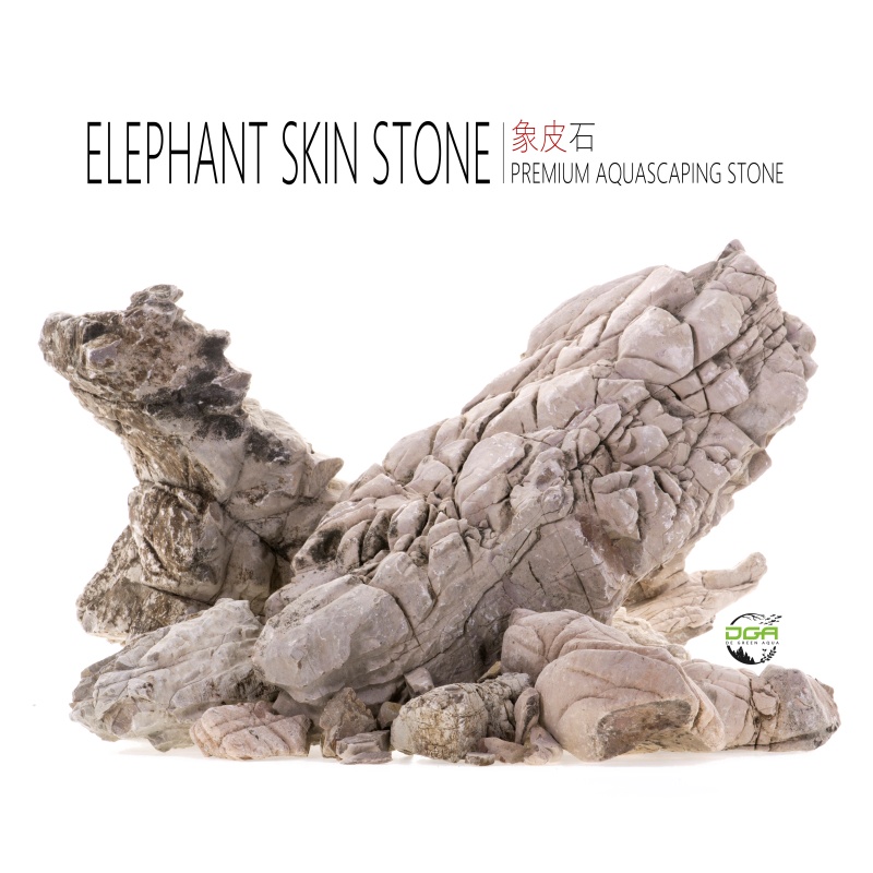 Aquascape Premium Shape Elephant Skin Stone（造景象皮石龟纹石） | Shopee Malaysia