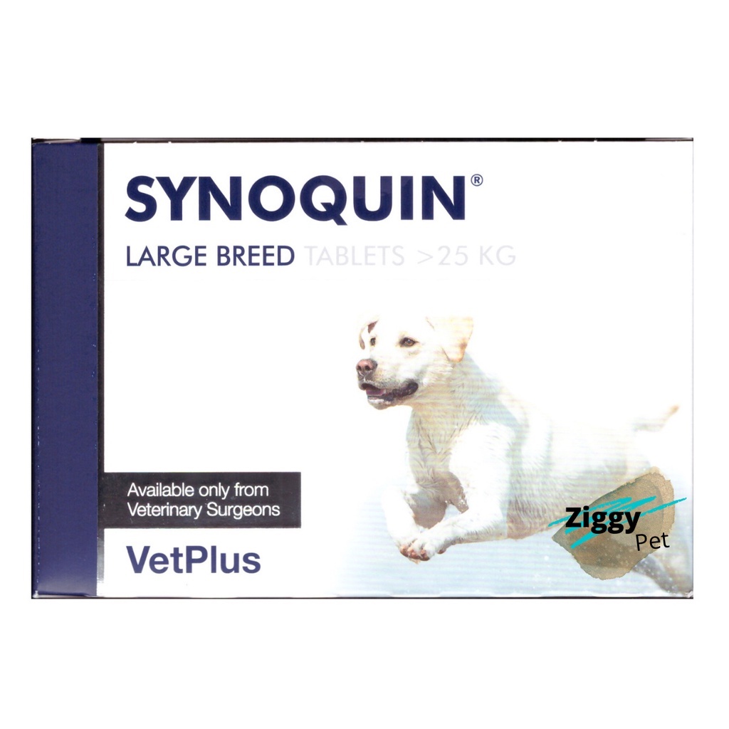 Synoquin Large Breed Dog (120x 2g TABLETS) | Shopee Malaysia