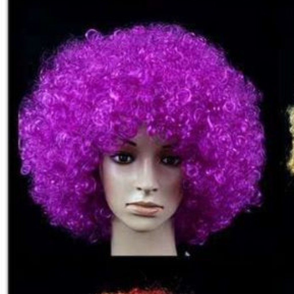 Novelty Afro Hair Wig Clown Curly Afro Circus Fancy Dress Hair Wigs Disco Costume Halloween ...
