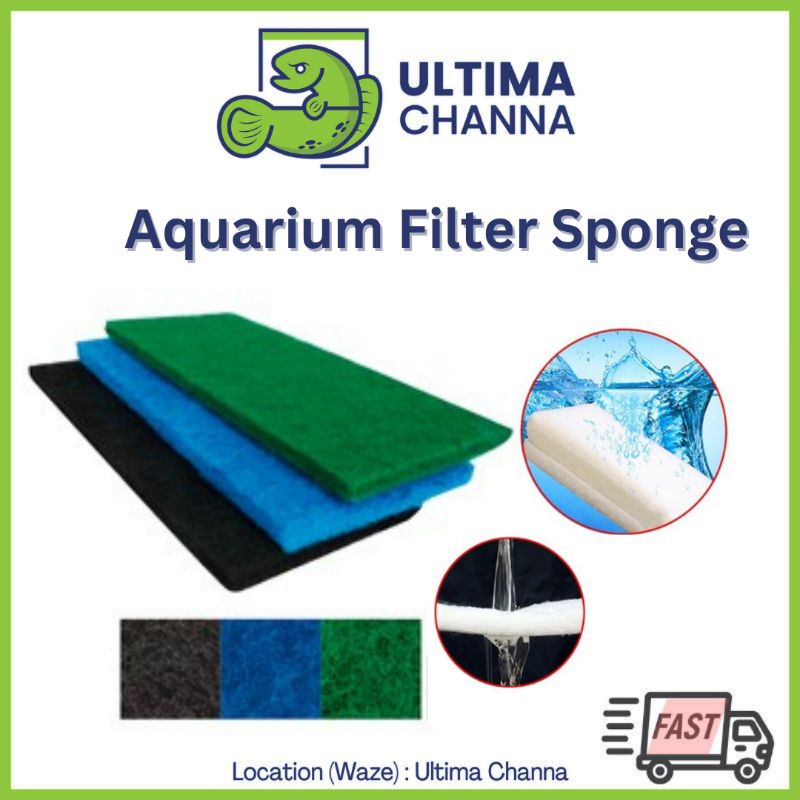 Aquarium Green Wool / Blue Wool / Bio sponge filter media penapis ...