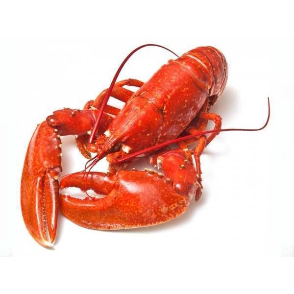 [Frozen] Canadian Cooked Lobster 500g | Shopee Malaysia