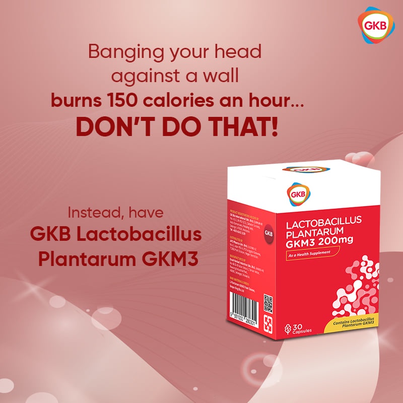 GKB Lactobacillus Plantarum GKM3 200MG Weight/Body Fat Loss Supplementt ...