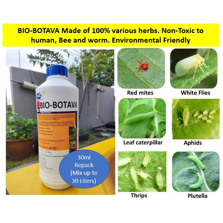 Racun serangga organik bio-botava Natural Pesticide Ubat Serangga ...