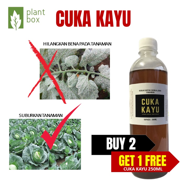 Cuka Kayu Asli / Wood Vinigar 500ml / Penghalang Serangga / Baja Subur ...