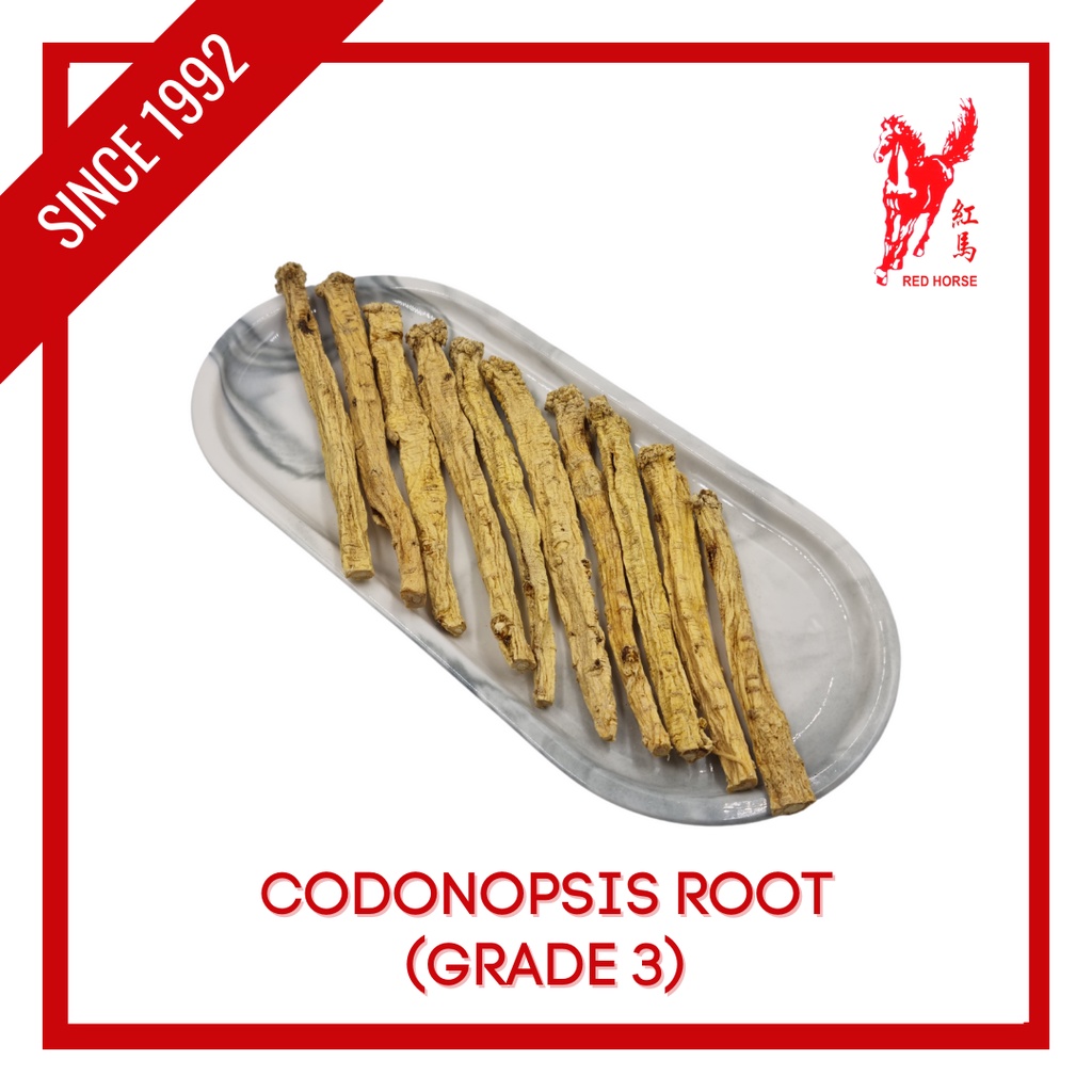 Codonopsis Root (Grade 3) Dang Shen 100g | Shopee Malaysia