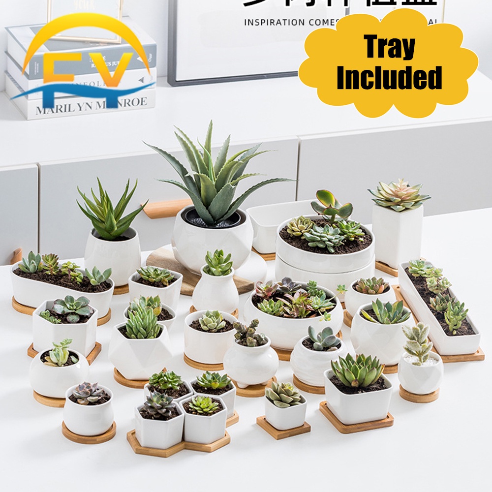 (FREE TRAY) FY Succulent Pot Cactus Pot Ceramic Pot Zakka Minimalism ...