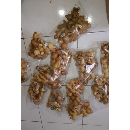 Halia asli Dari sabah | Shopee Malaysia