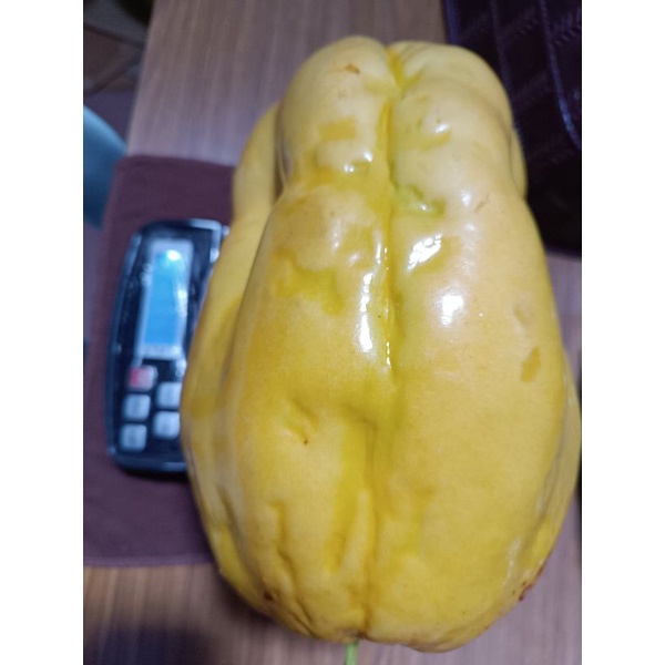 Markisa Jumbo Besar. 3biji Benih.超级大百香果 3粒种子 | Shopee Malaysia