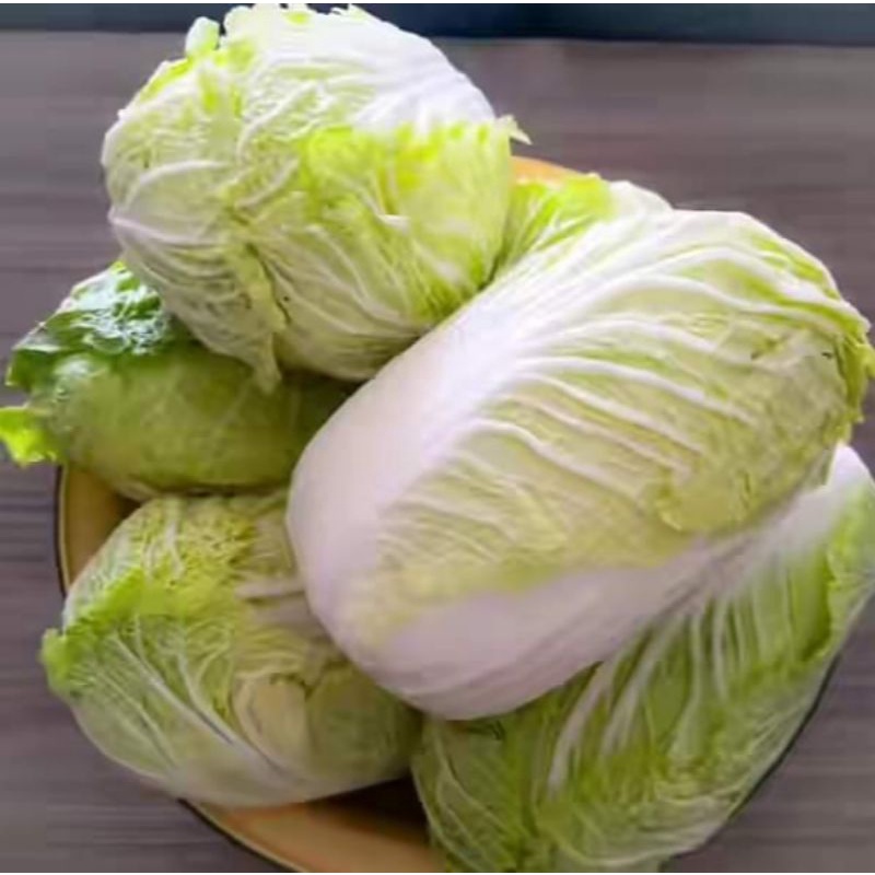 biji benih kubis cina. chinese cabbage f1hybrid.RM5 110pcs. RM10 230pcs ...